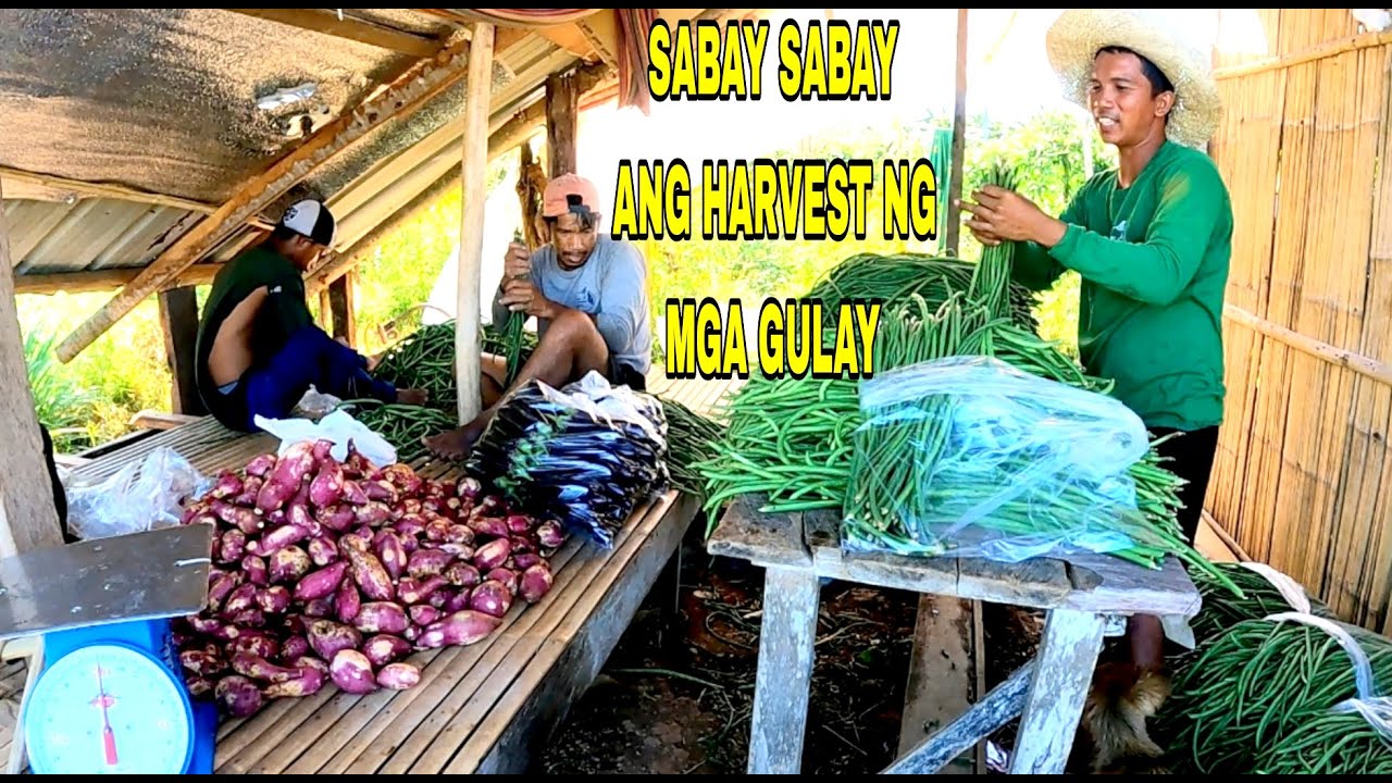 PAG TINOR NG MGAGULAY PAGKAIN SA PANANGHALIAN - YouTube