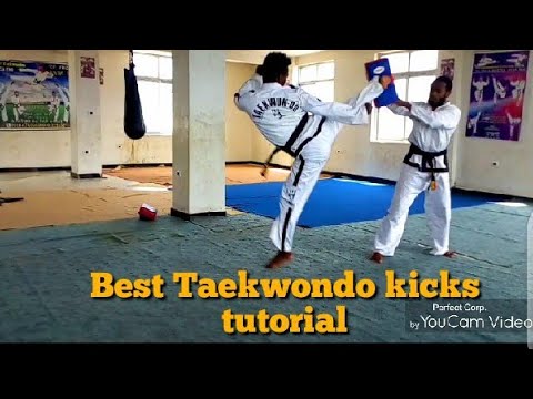 Best Taekwondo kicks tutorial - YouTube