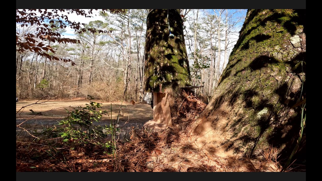 Knocking down a few trees, hit a water line, new kind of notch ...