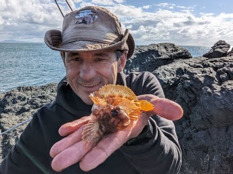 Good to be back The fish were a bonus - YouTube