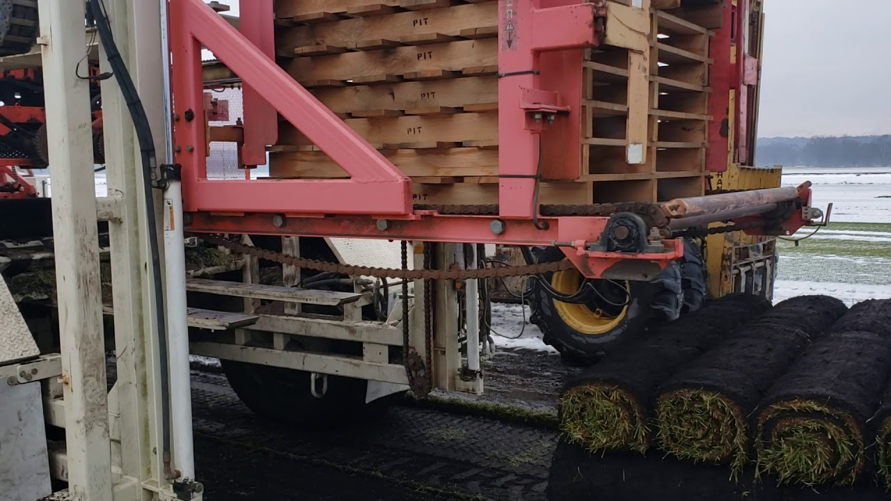 Pine Island Turf best sod in orange county - YouTube