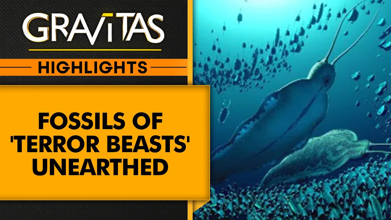 What the fossils of the giant predator worms 'terror beasts' reveal ...