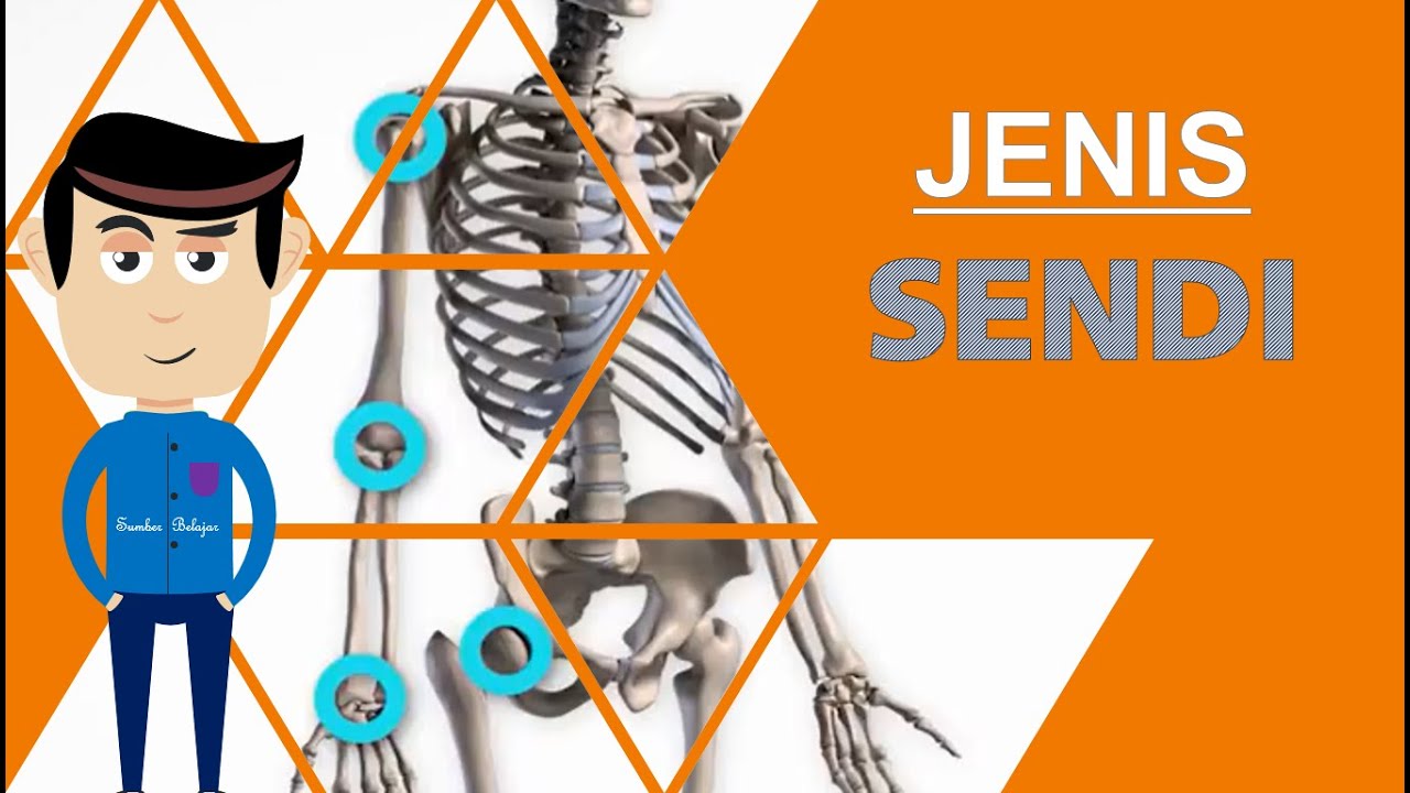 Macam-macam Sendi || The Types of Joints - YouTube