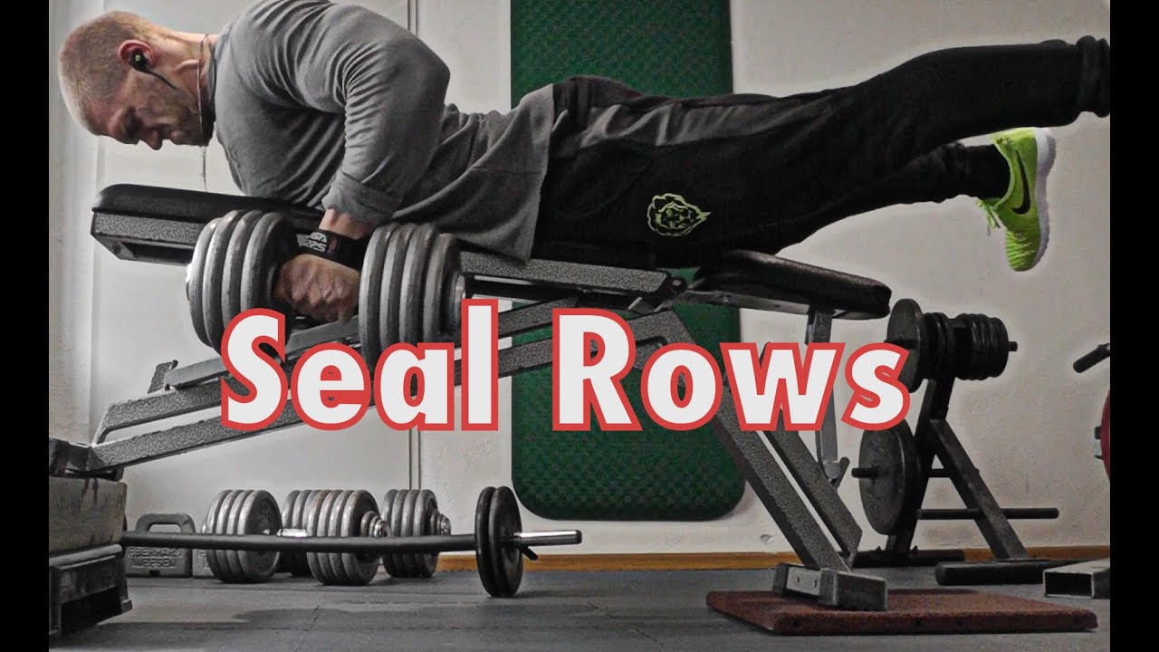 #Gains101 - Seal Rows: unbekannte aber effektive Übung für einen ...