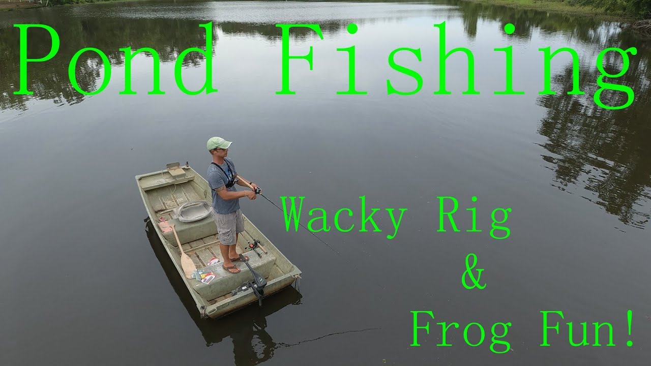 Shallow Water Pond Fishing With (Wacky Rig & Googan Squad Filthy Frog ...