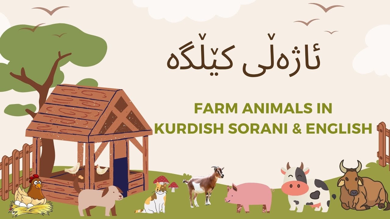 ئاژەڵی کێڵگە - Farm Animals in Kurdish Sorani & English - YouTube