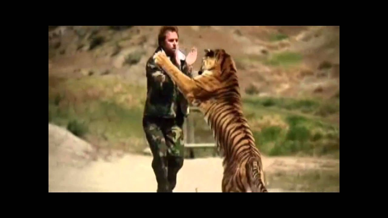 The Dudesons - Tigerstunt USA - YouTube
