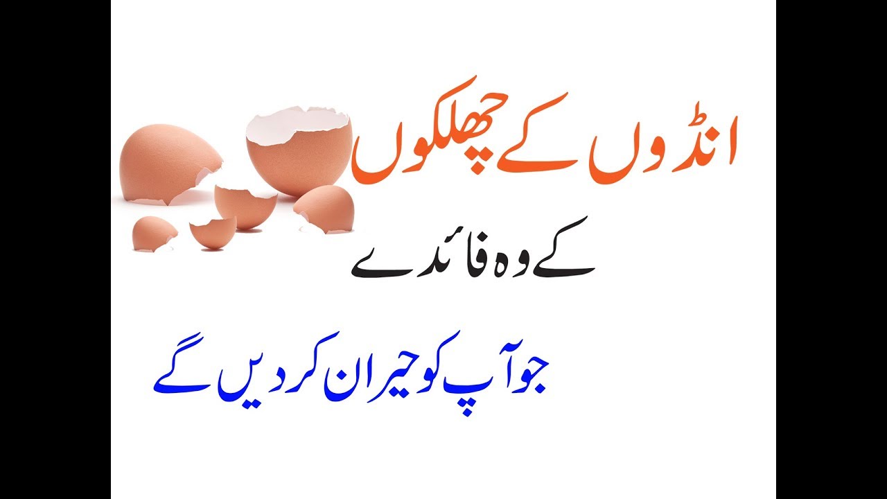 Amazing Benefits Of Eggshells In Urdu YouTube amazing-benefits-of-eggshells-in-urdu-youtube