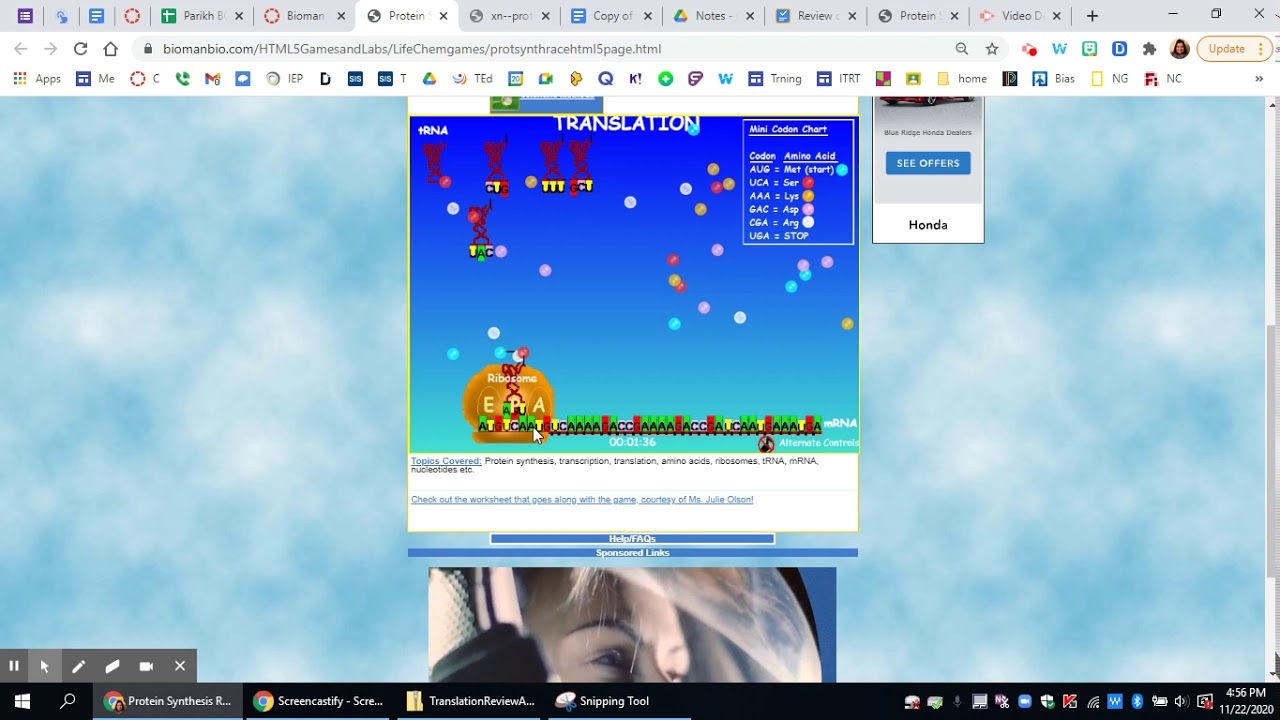 Protein Synthesis Race Video Help Instructions (part 2) - YouTube