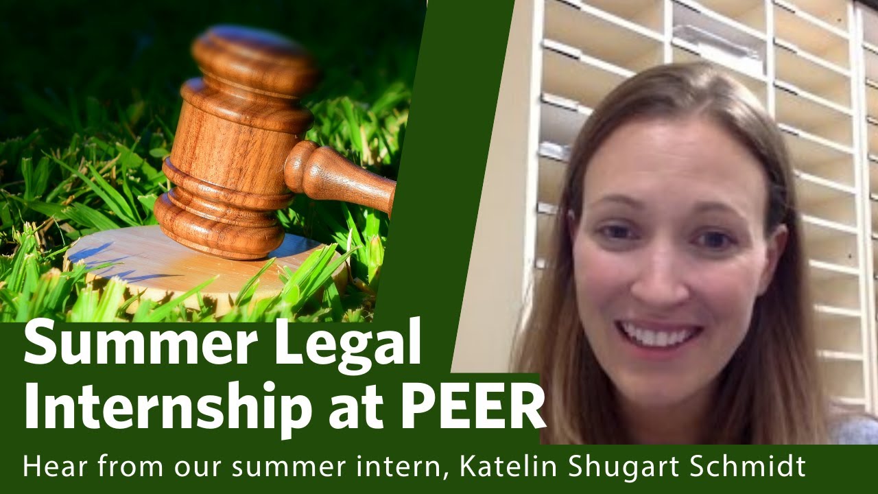 Summer Legal Internship at PEER: Hear from Katelin Shugart Schmidt ...