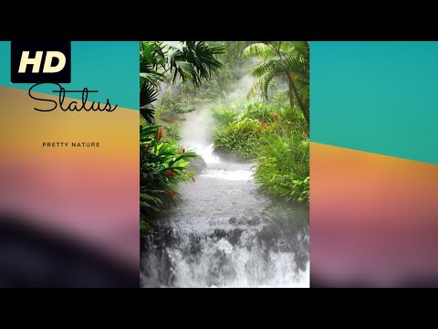 Best song nature whatsapp status❤️😍 || Forest status ||nature short video/Nature status for whasapp
