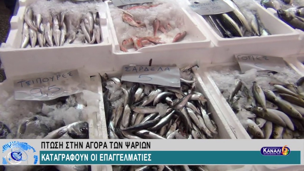 ΠΤΩΣΗ ΣΤΗΝ ΑΓΟΡΑ ΤΩΝ ΨΑΡΙΩΝ ΚΑΤΑΓΡΑΦΟΥΝ ΟΙ ΕΠΑΓΓΕΛΜΑΤΙΕΣ - YouTube