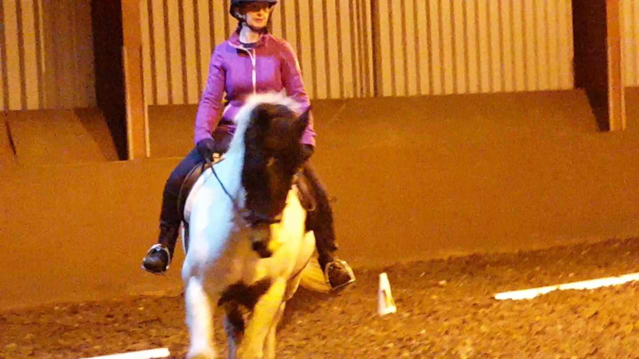Donna Wiseman and PADDY novice 34 - YouTube