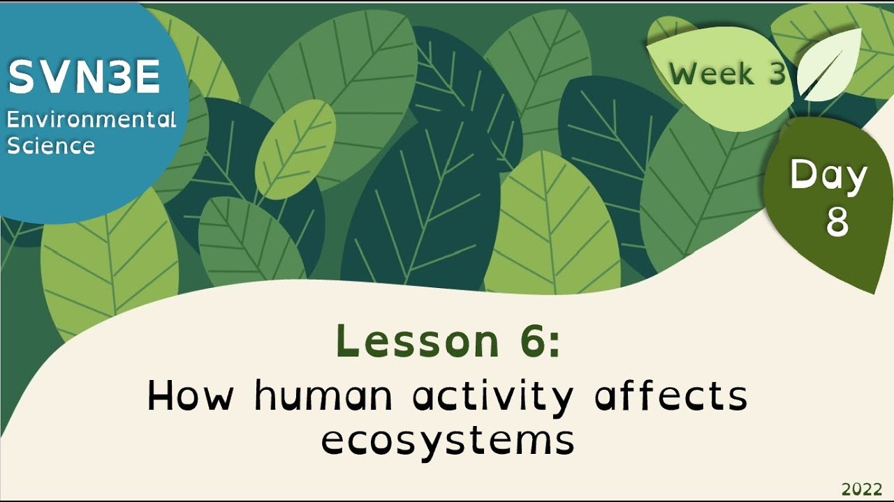 SVN3E Wahsa Lesson 6: How human activity affects ecosystems - YouTube
