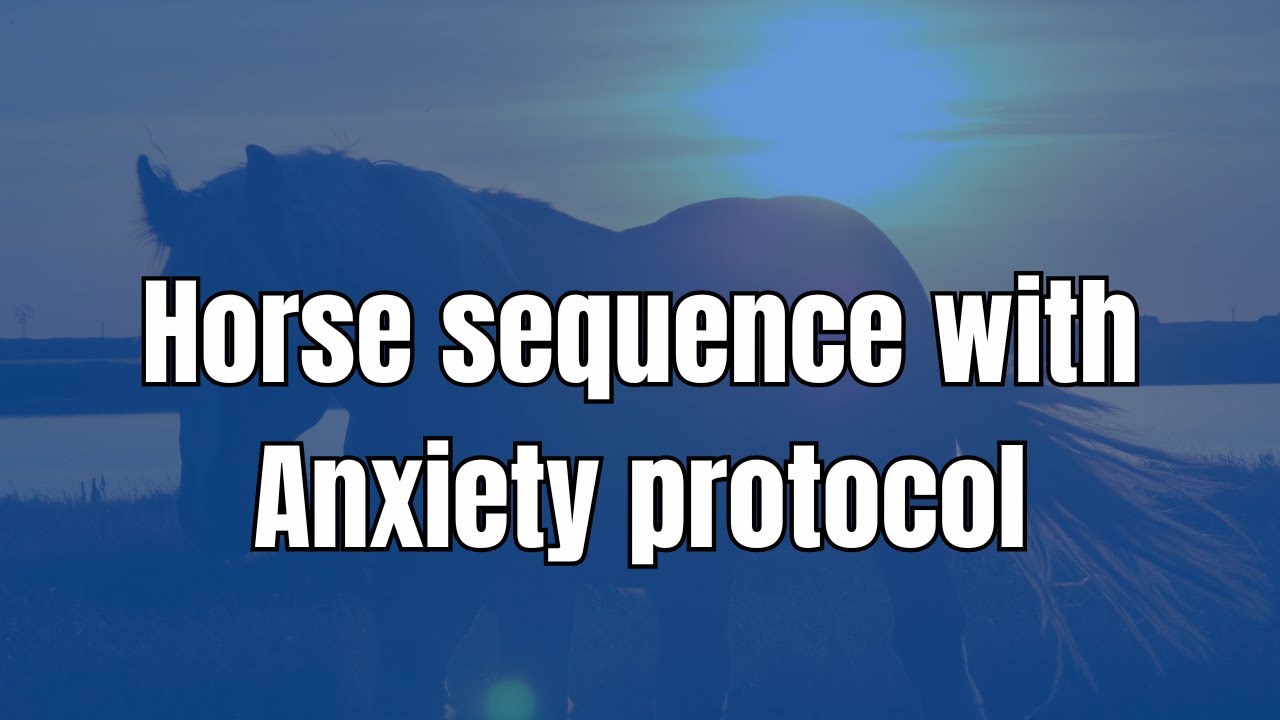 Horse sequence with Anxiety protocol - YouTube