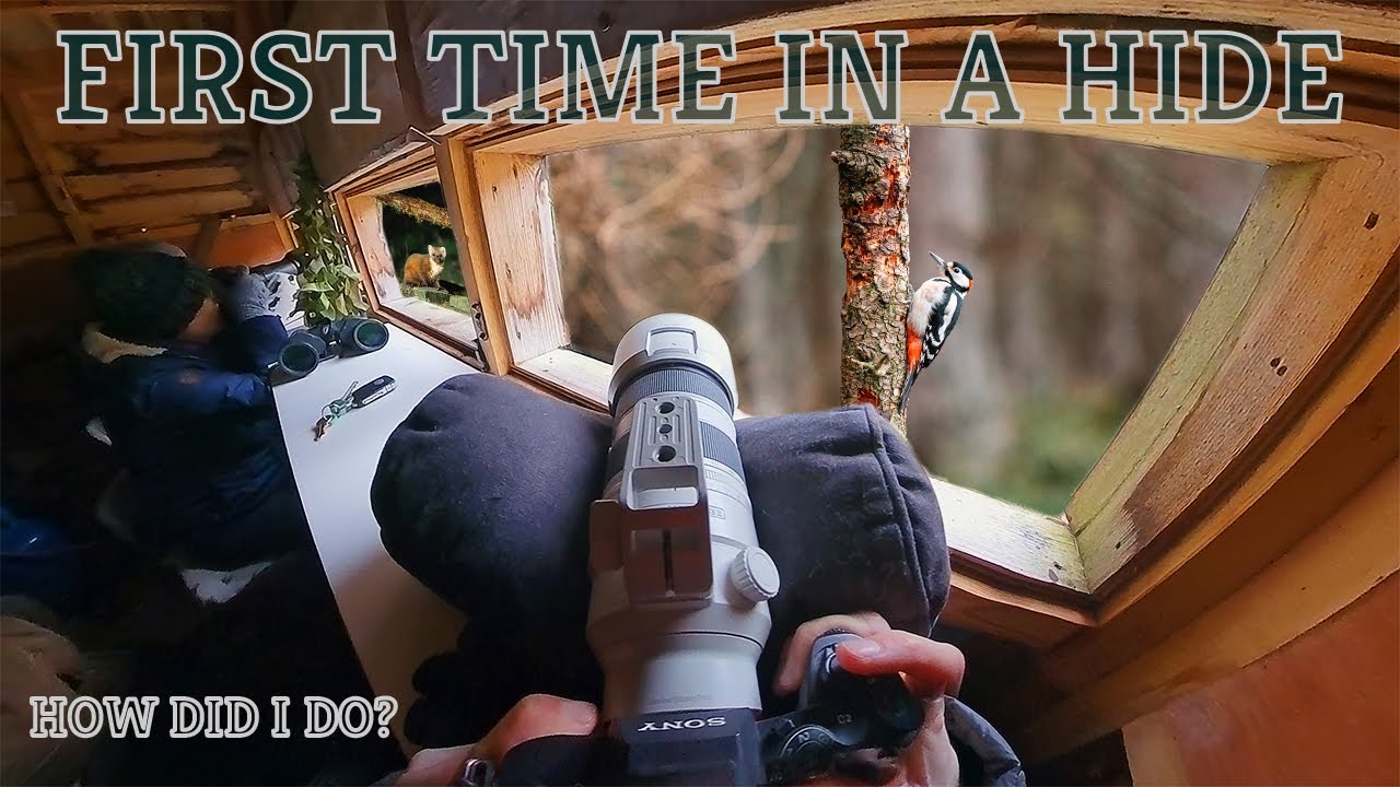 My first day as a wildlife photographer... - YouTube