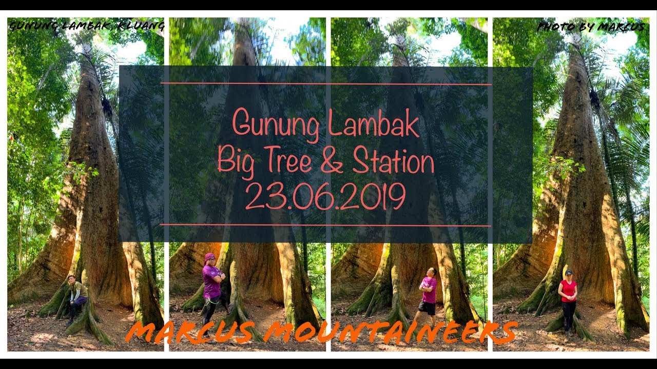 Gunung Lambak- DayHike Station and Big Tree (13km) - YouTube
