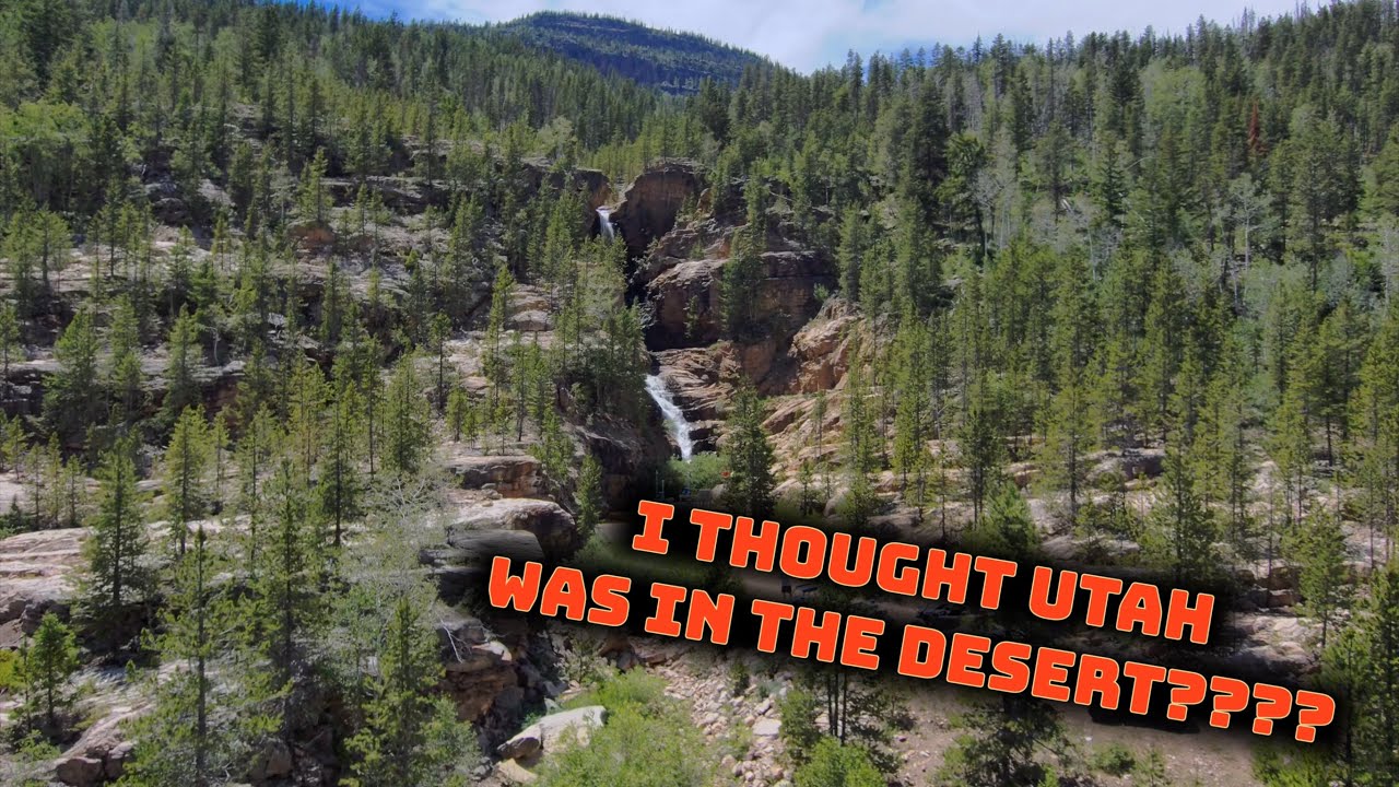 Camping in Utah’s High Alpine forest (Uinta Mountains) - YouTube