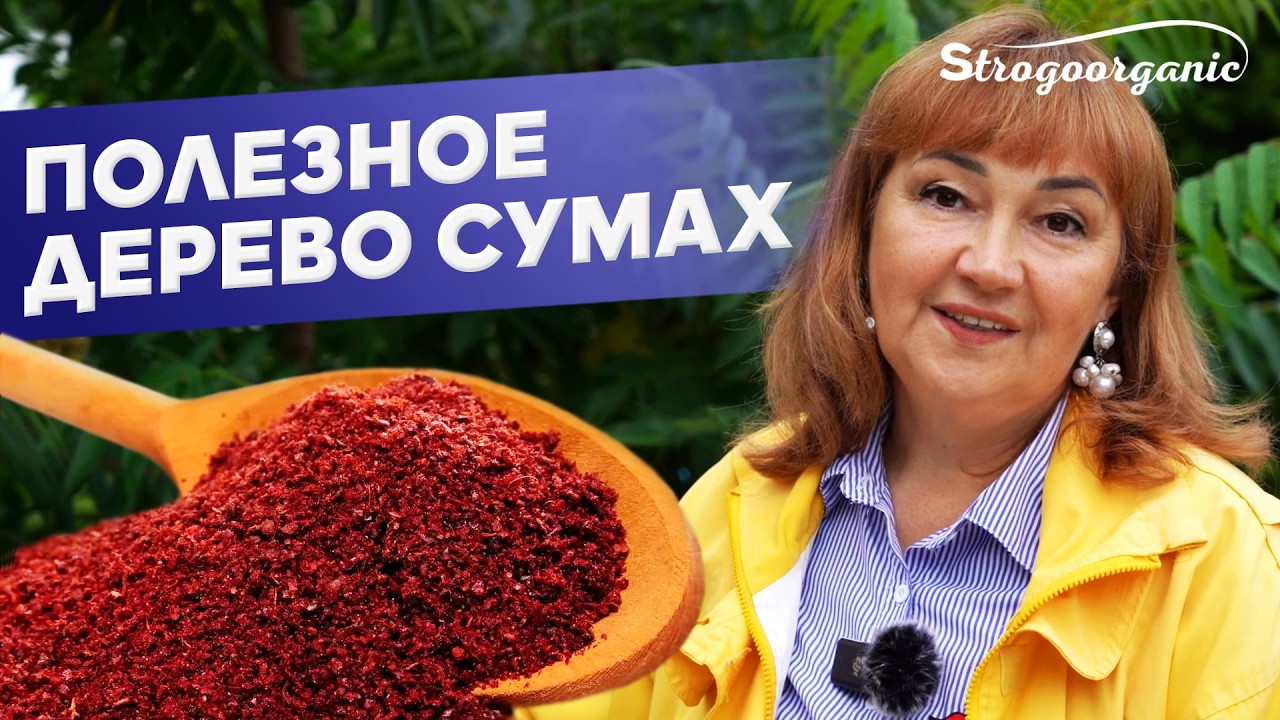 В чем польза дерева Сумах? / Ученицы Strogoorganic - YouTube