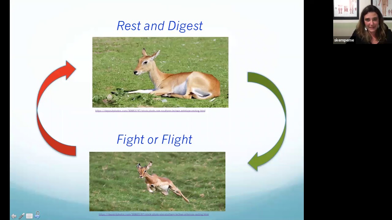 wHolistic!™ - See One, Do One, Teach One - Dr. Sarah Kemp-Mehl & Abbie ...