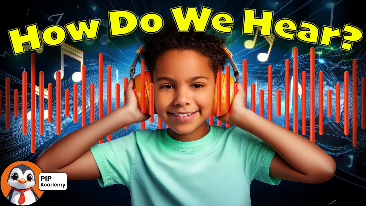 What Are Sound Waves? How Does Sound Work?? - YouTube