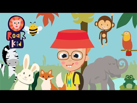 Mali ile Hayvanları Tanıyalım | Roar Kid çocuk şarkıları | bebek şarkıları nursery rhymes kids songs
