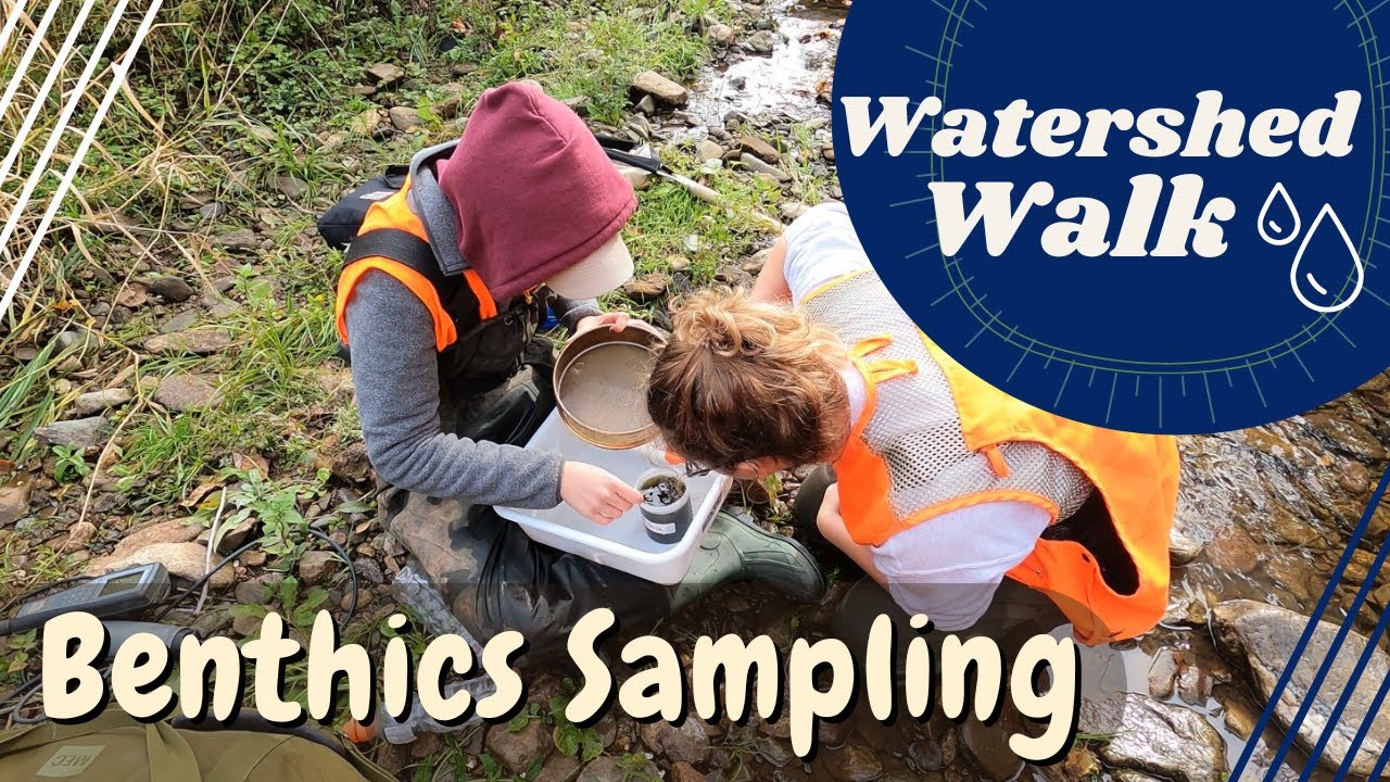 Benthics Sampling - Watershed Walk - YouTube