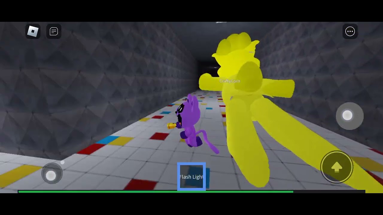 survive the nightmare kicking chicken 🐥🐤 - YouTube