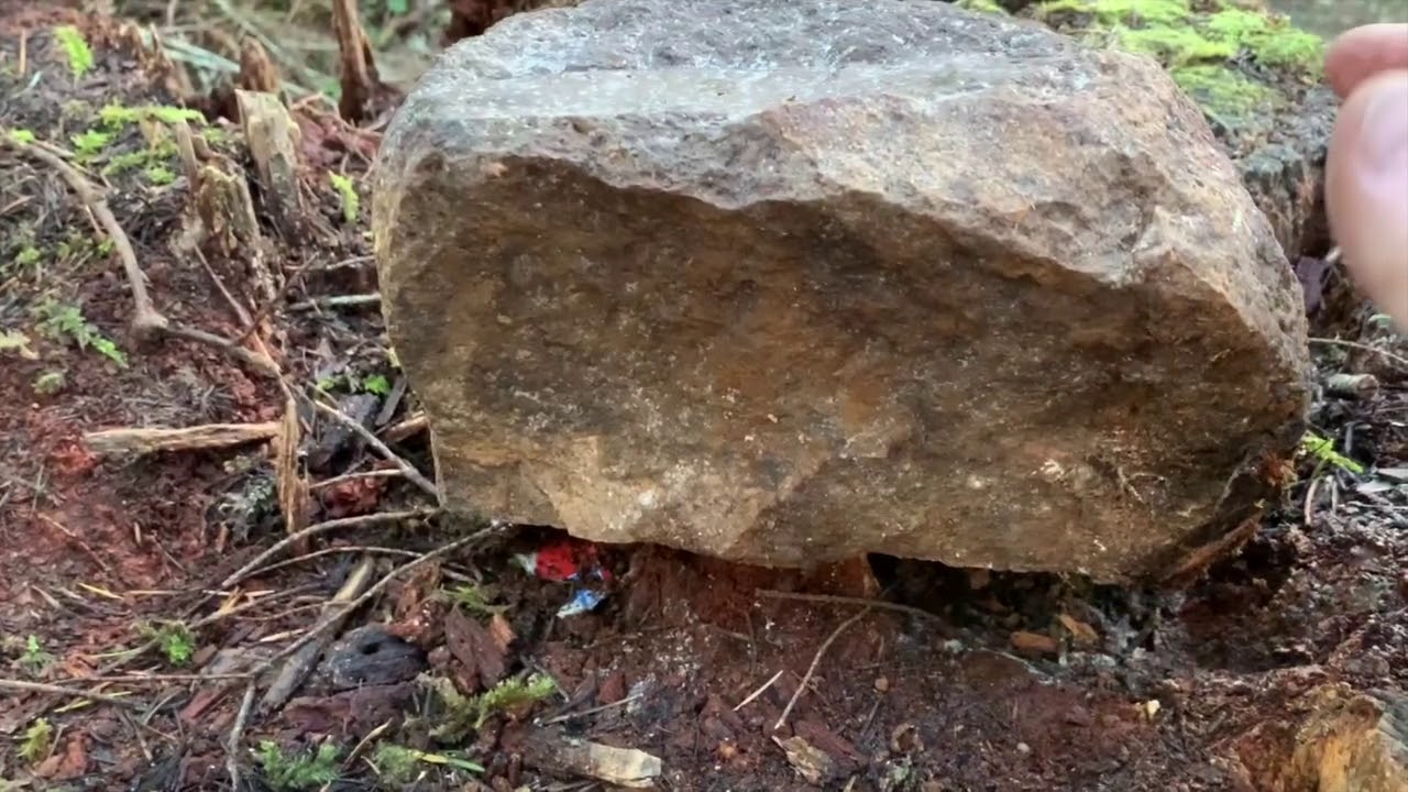 MEMBERS VIDEO | THE OWL MOON LAB ARCHIVE FOOTAGE - YouTube