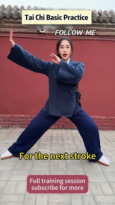 Learn 3 moves with me everyday.You can control TaiChi with 0 foundation ...