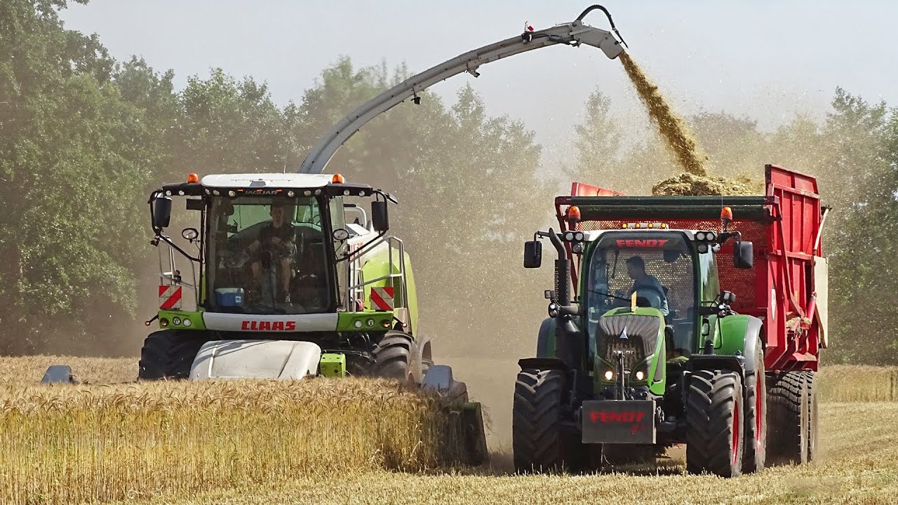 Whole Crop Silage | Claas Jaguar 940 + Direct Disc 610 | Geresteijn ...