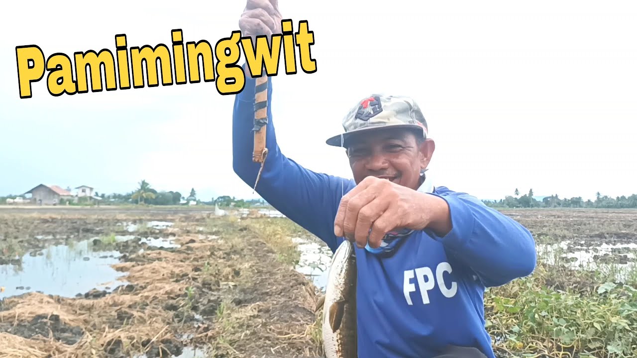 Pamimingwit sa kanal ng mga palayan. - YouTube