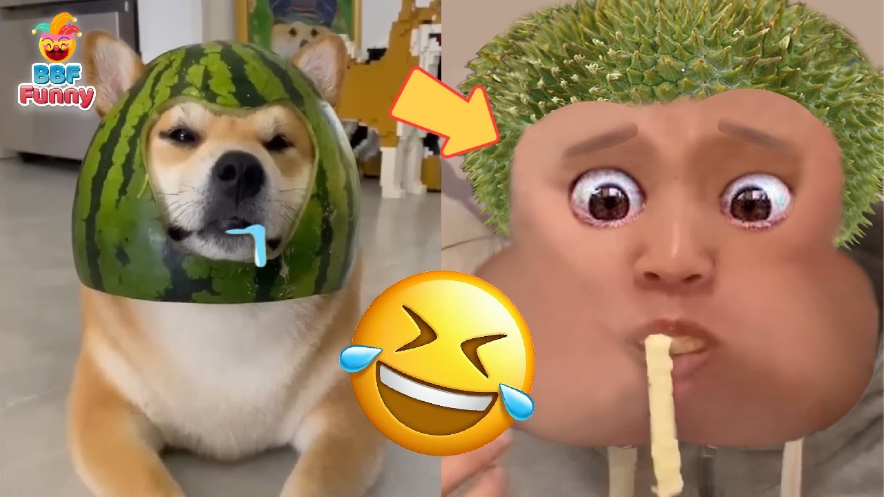 Best Funny Videos Make You Laugh All Day 🤣 Try Do Not Laugh 😂 Funniest ...