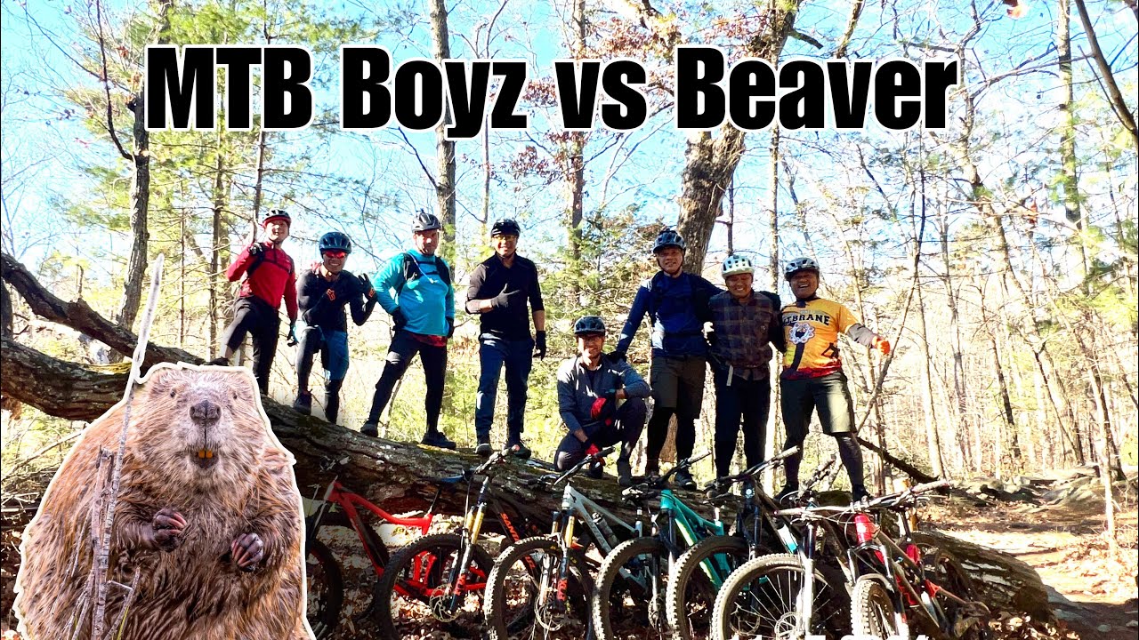 MTB Boyz vs Beaver, Harold Parker Forest, North Andover, MA, 11.17.2024 ...