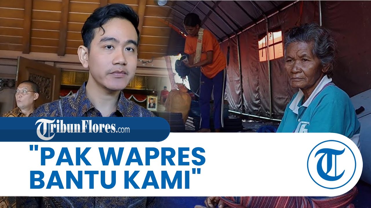 Pengungsi Gunung Lewotobi Tidur Beralaskan Terpal, Markus: Pak Wapres ...