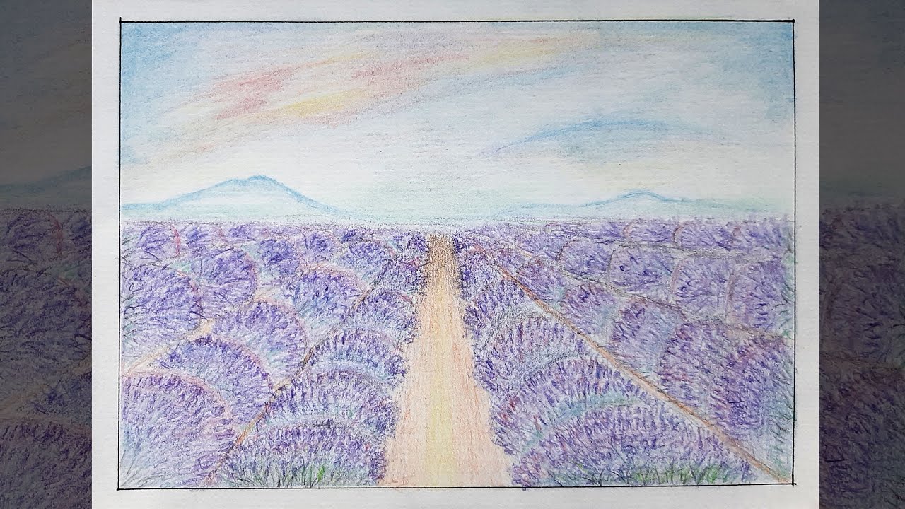 Lavender Field/ Landscape/ Color Pencil/ Sinoun drawing - YouTube