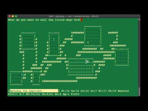NetHack 3.6.6 Neutral Human Priest - YouTube
