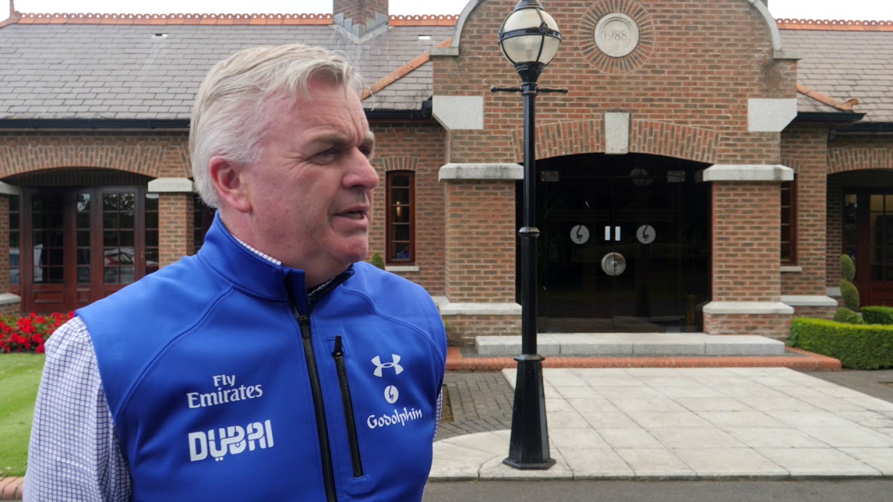 Kildangan Stud - The Curragh Thoroughbred Trail - YouTube