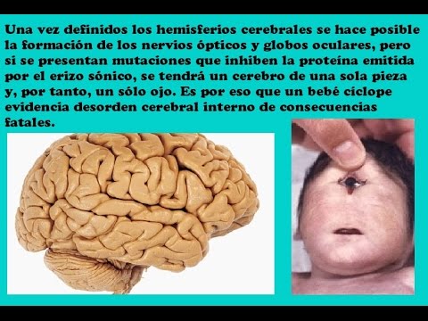 La Ciclopia - YouTube