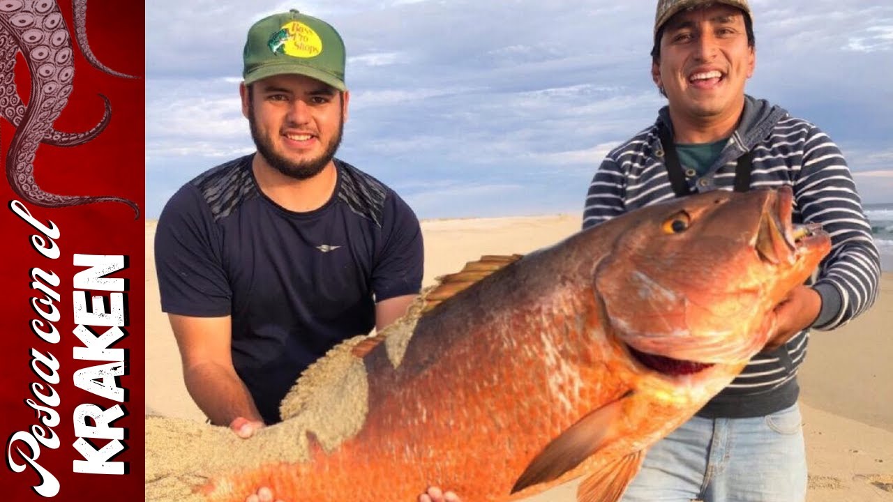 Mi Pesca Récord De PARGO CUBERA | Kraken Minnow | KRAKEN LURES - YouTube