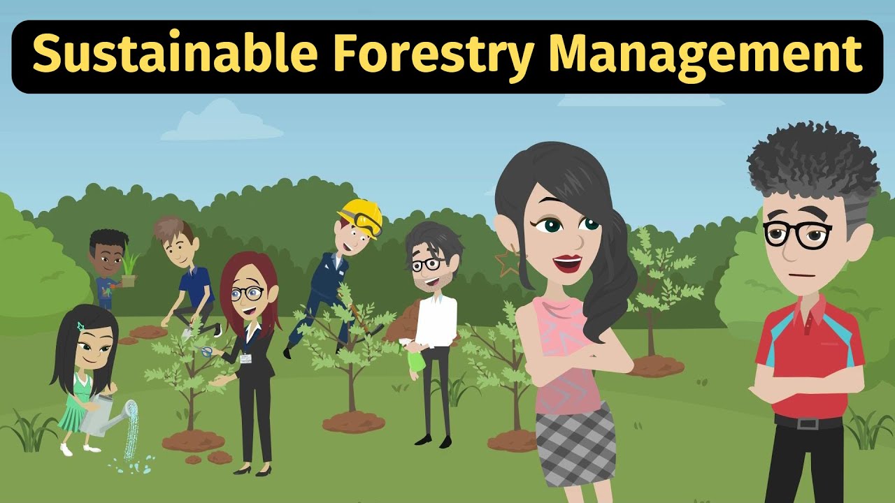 Sustainable Forestry Management - Practice English Conversation - YouTube