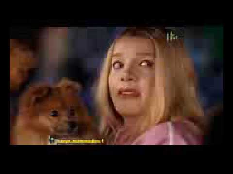 Harun Memmedov   Dublaj Video 3