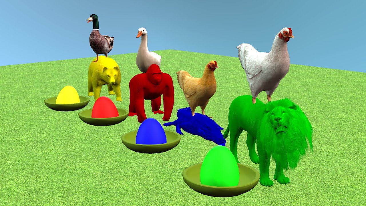 Color Eggs.Hen ,Goose,Duck and wild animals. - YouTube