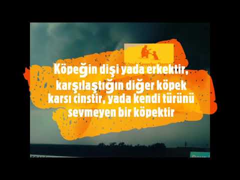 NAMAZ ABDULHAMİT TUTKUN