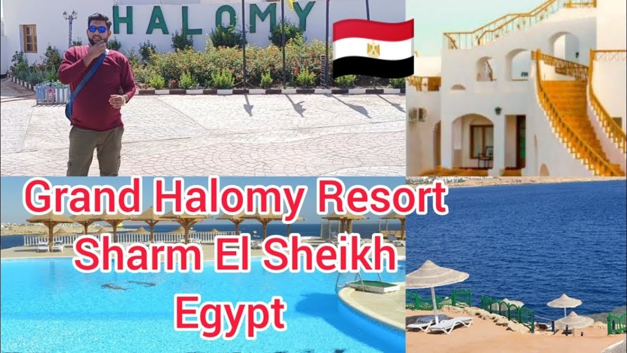 1 Grand Halomy Resort Sharm El Sheikh Egypt 🇪🇬 Eid holliday 2023 - YouTube