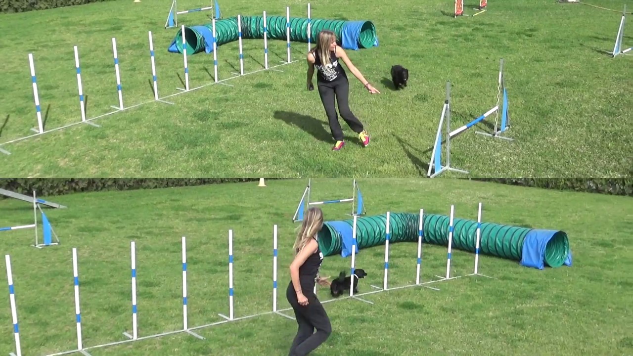 Slalom sequence - YouTube