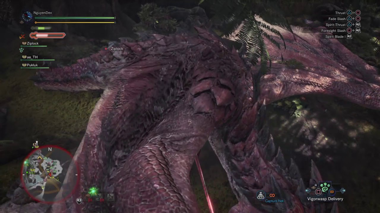 MHW : Rathian + Rathalos FULL - YouTube