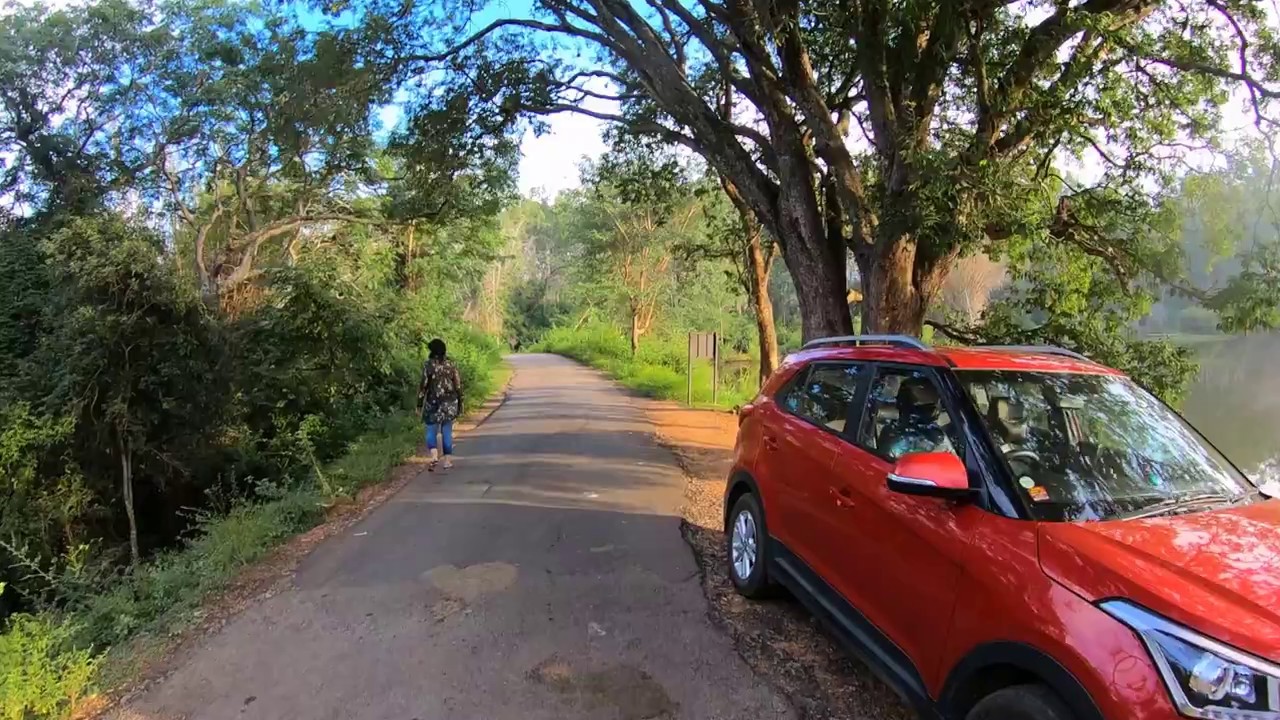Drive to Aiyur forest in TN - YouTube