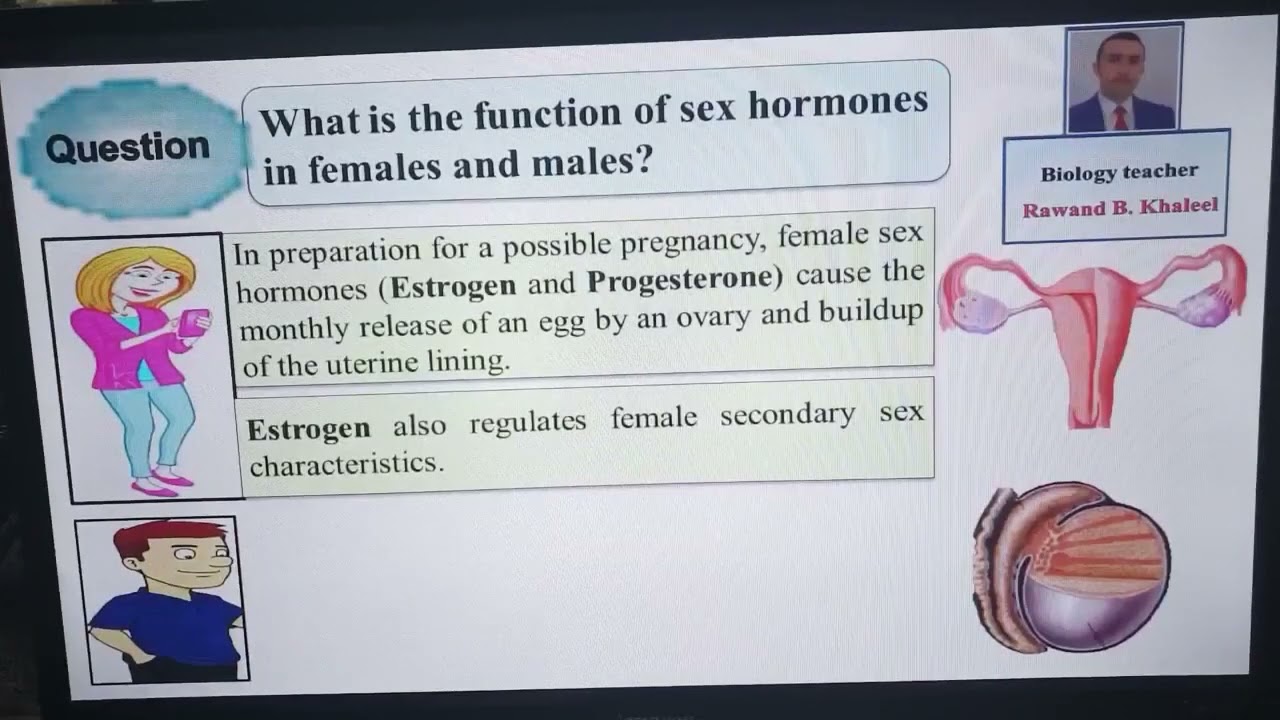 Chapter 5 section 2 (part 2) - YouTube