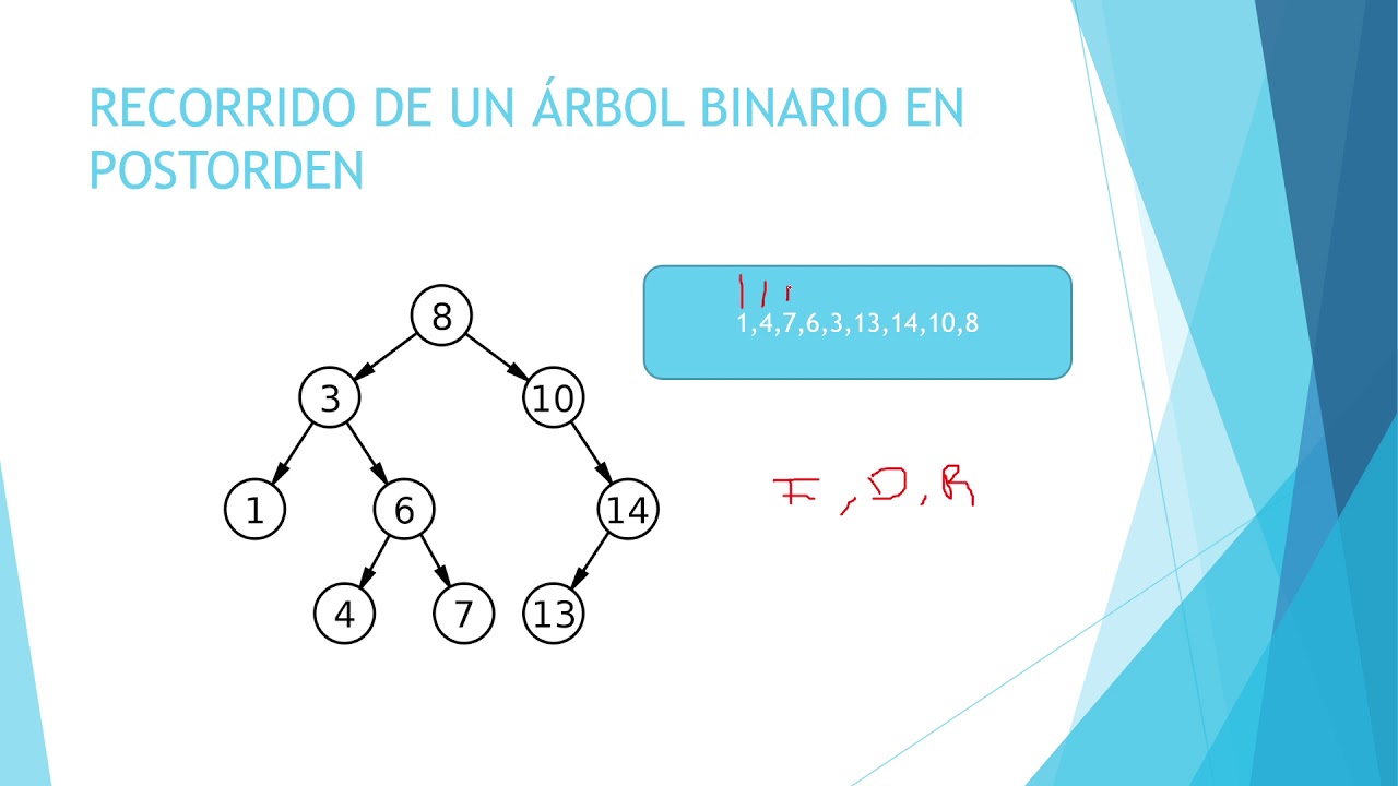 Árboles Binarios Teoria Recorrido en PostOrden - YouTube